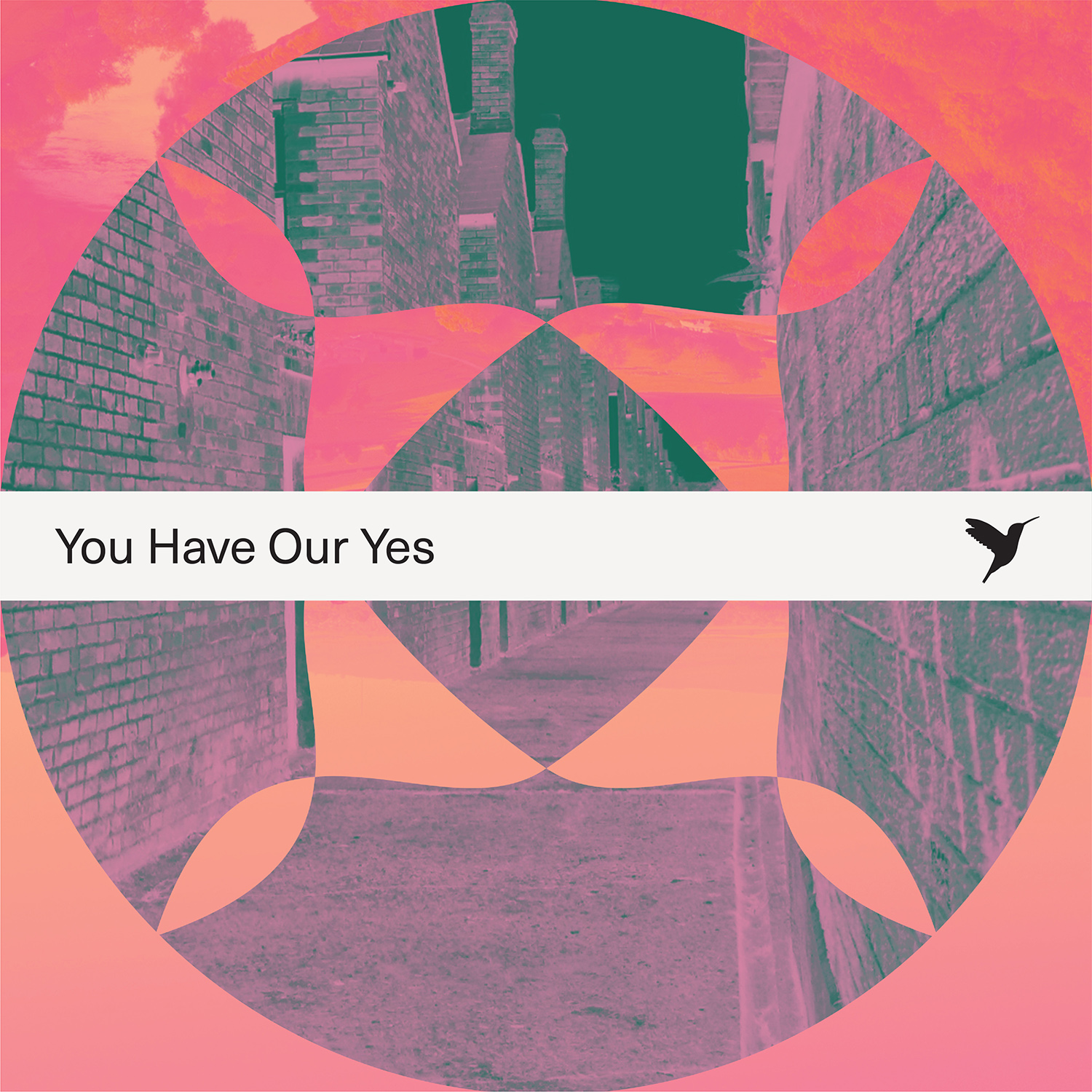 You Have Our Yes | 2021